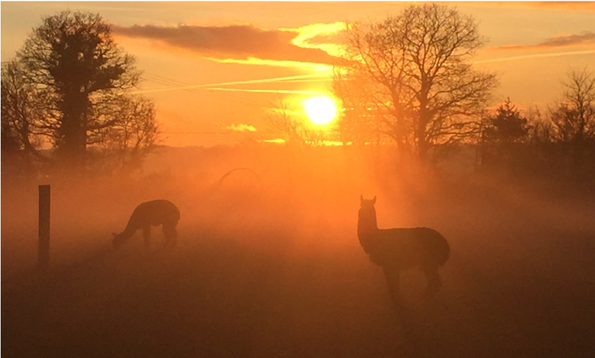 WELCOME TO FUZZY'S FARM – Wild West themed Parties and Glamping in the ...